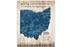 Ohio State Park Map, Push Pin Travel Board – World Vibe Studio